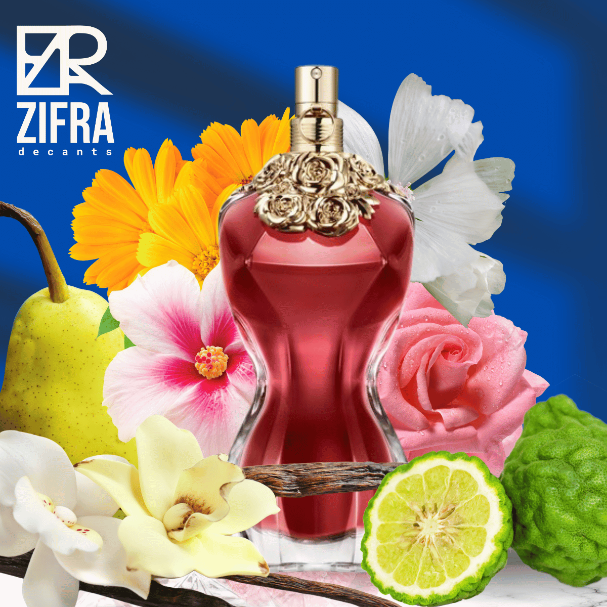 La Belle - Jean Paul Gaultier – Zifra Decants